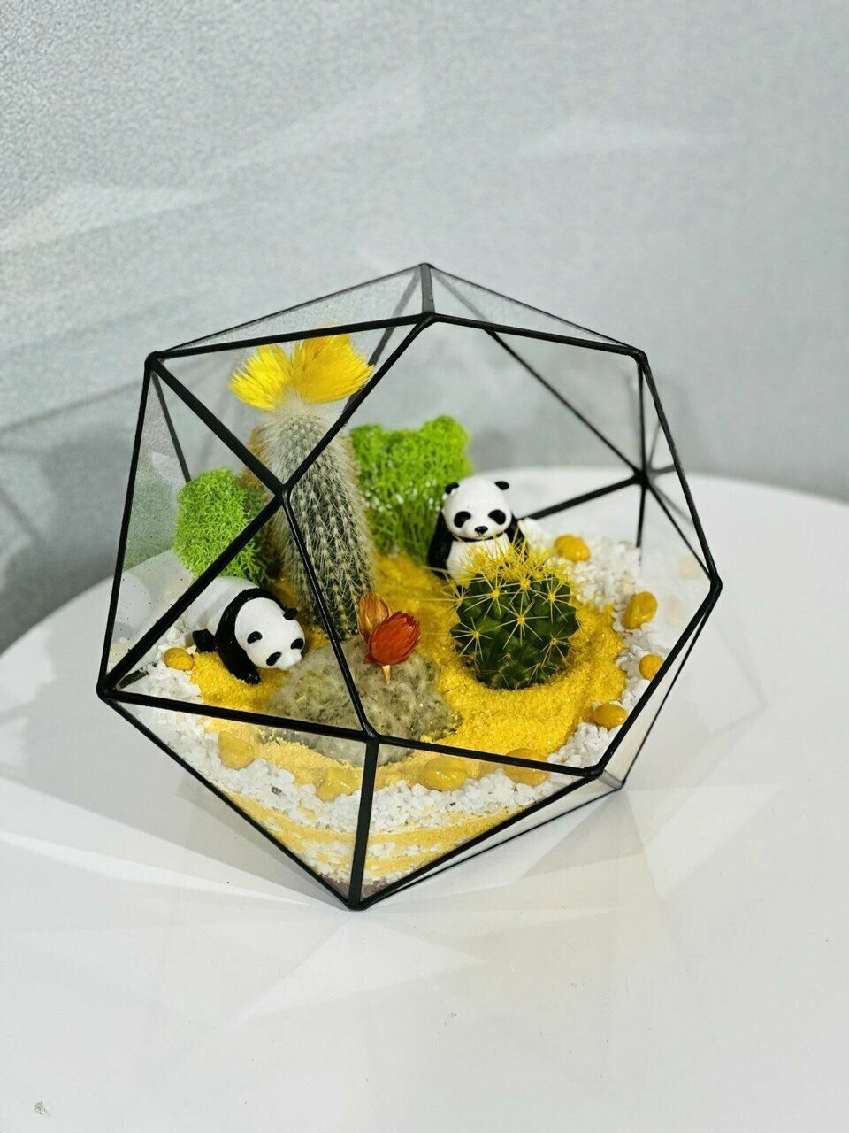 Флорариум с пандами / Комнатное растение в вазе