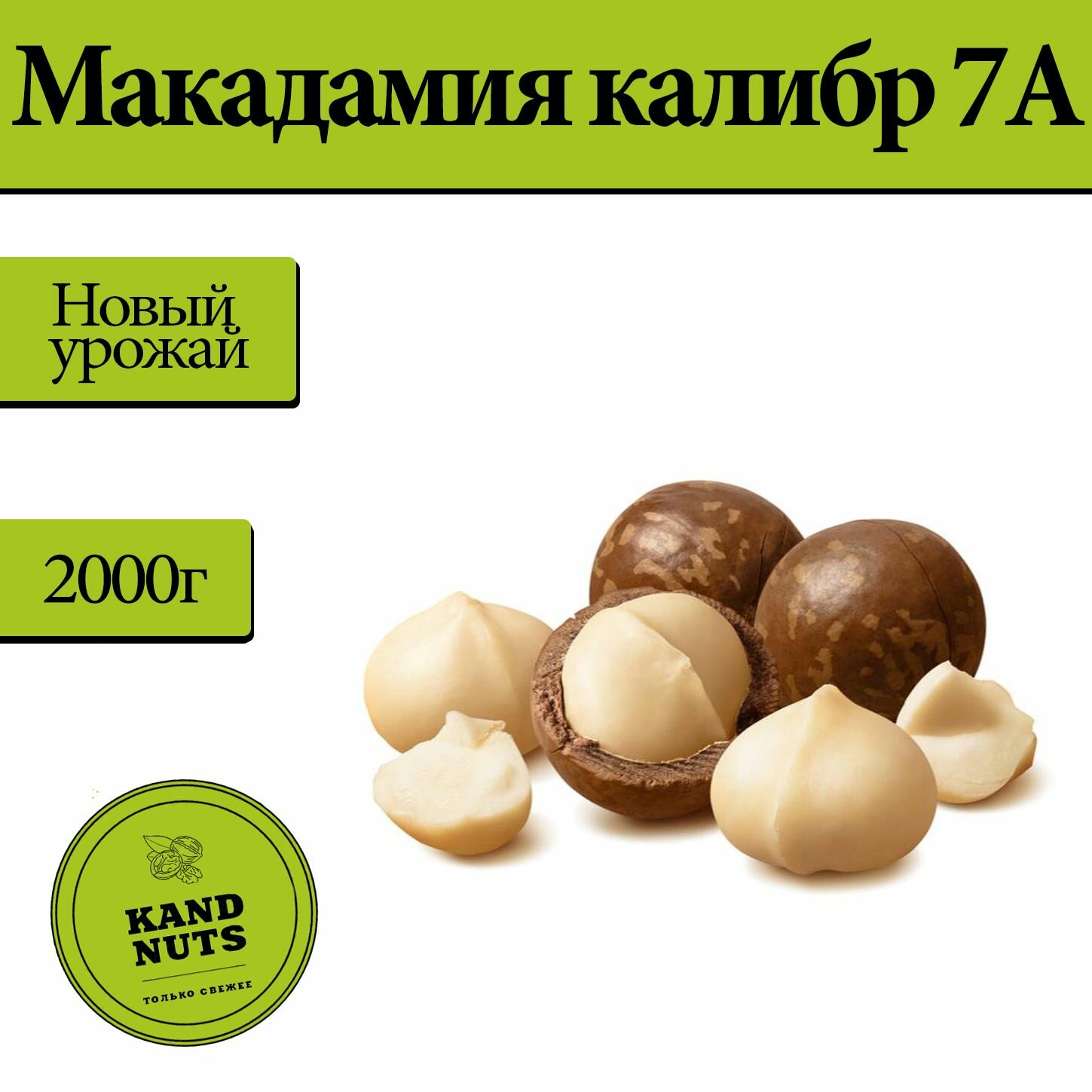 Макадамия, Макадамия 7а крупные орехи с ключом Вкусно и полезно! Натурально, без ГМО!