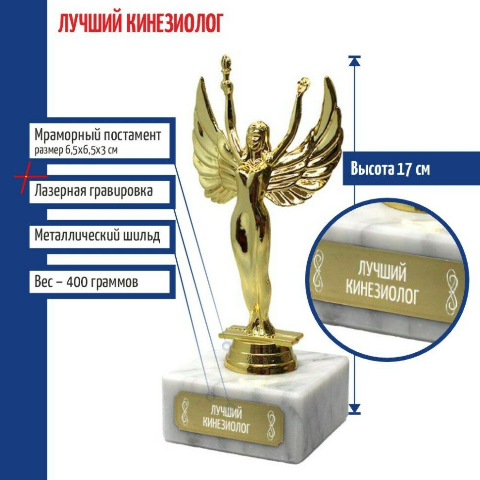 Статуэтка награда Жен. "Лучший кинезиолог" (17 см)