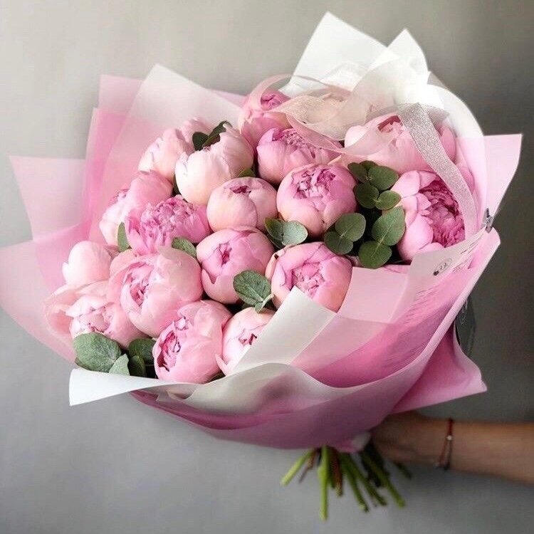 Букет из розовых пионов 17 шт и эвкалипта, красивый букет цветов, шикарный, премиум цветы, премиум букет