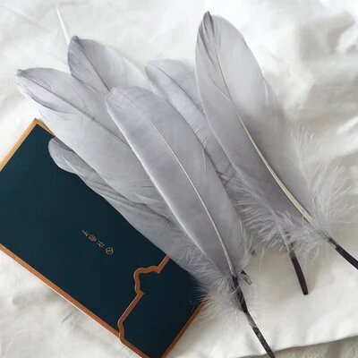 Натуральные гусиные перья 50 шт. белые 15-20 см для декора gray 50pcs