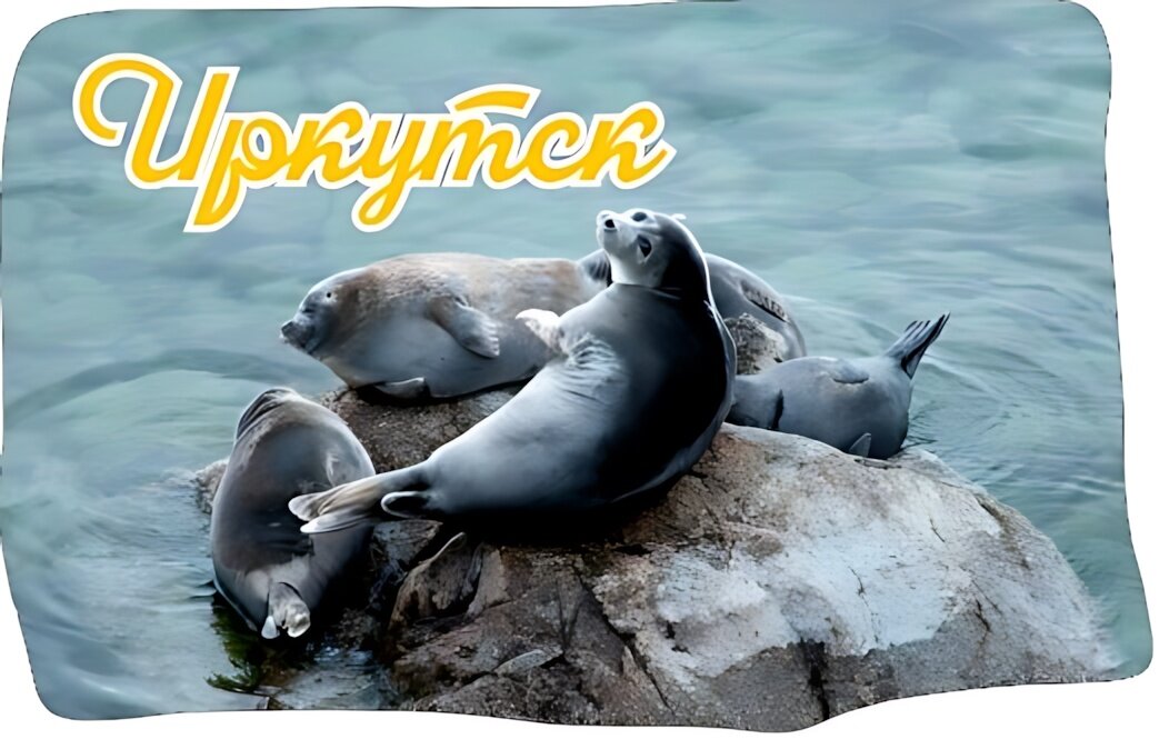 Сувенирный магнит Апилка "Иркутск", Байкальские нерпы, дерево, вырубка