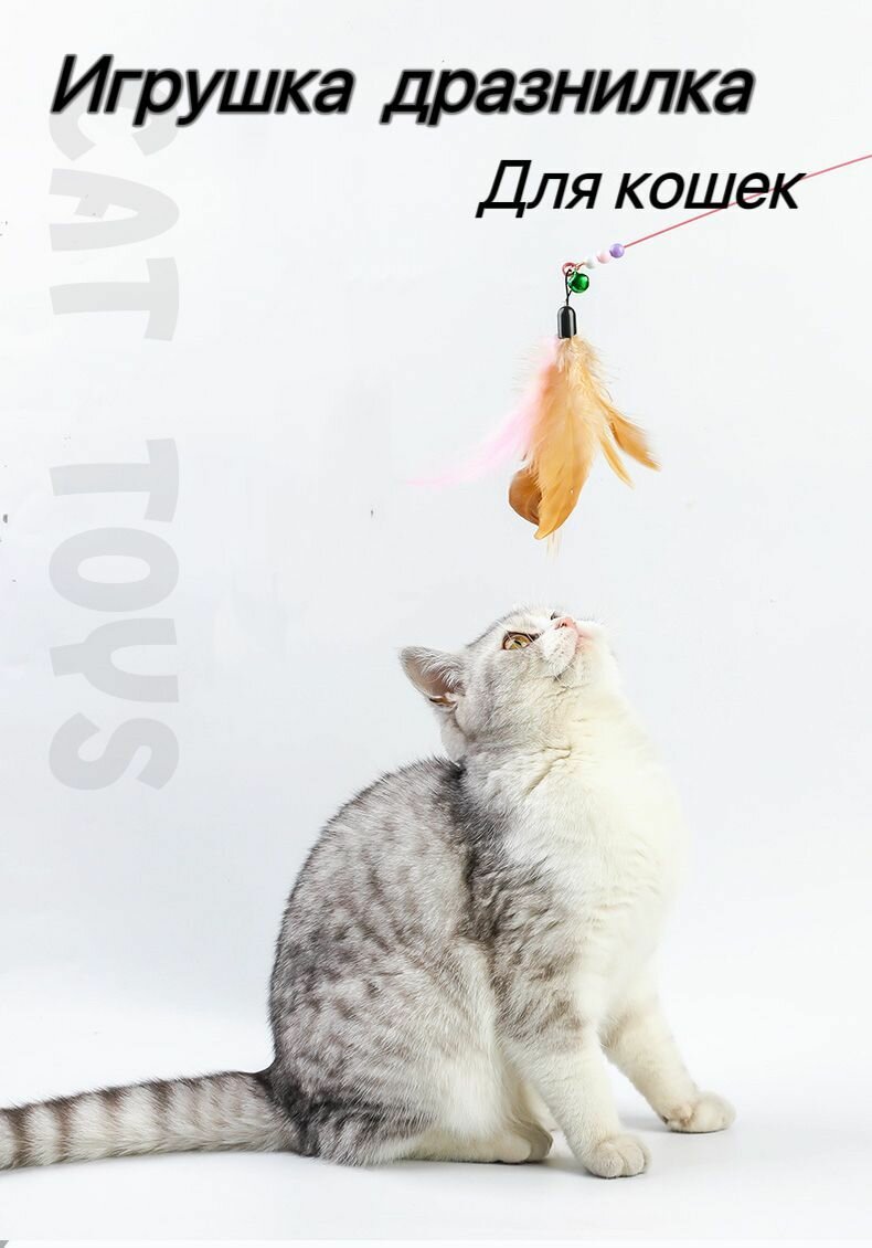 Длинная удочка-дразнилка для кошек с перьями и колокольчиком, интерактивная игрушка для ，3 случайных цвета