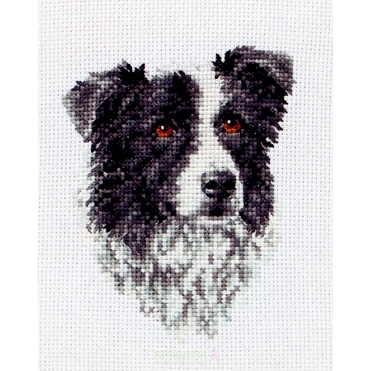 Набор для вышивания Anchor "Border Collie" 11*8см, MEZ Венгрия, PCE219