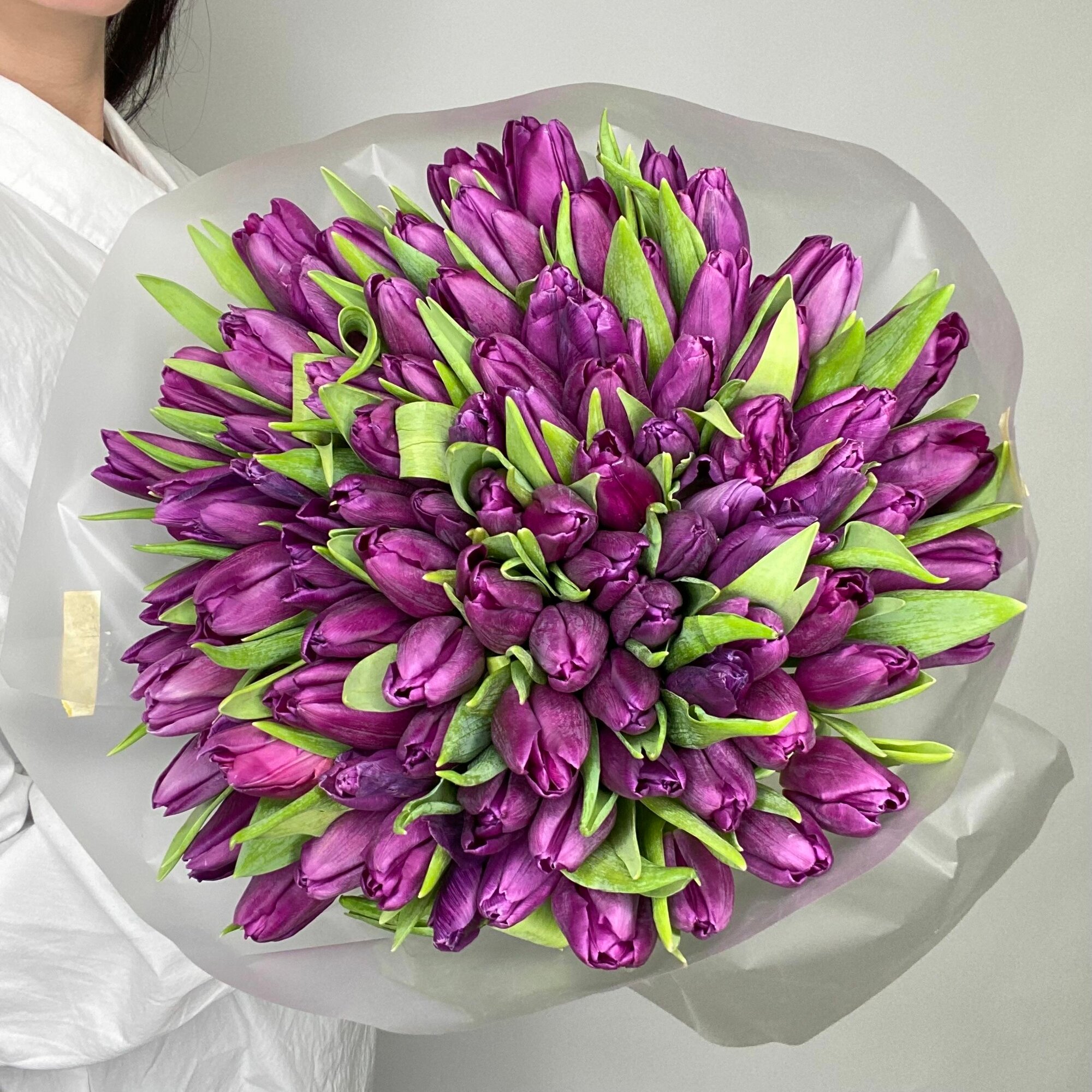 Фиолетовые тюльпаны