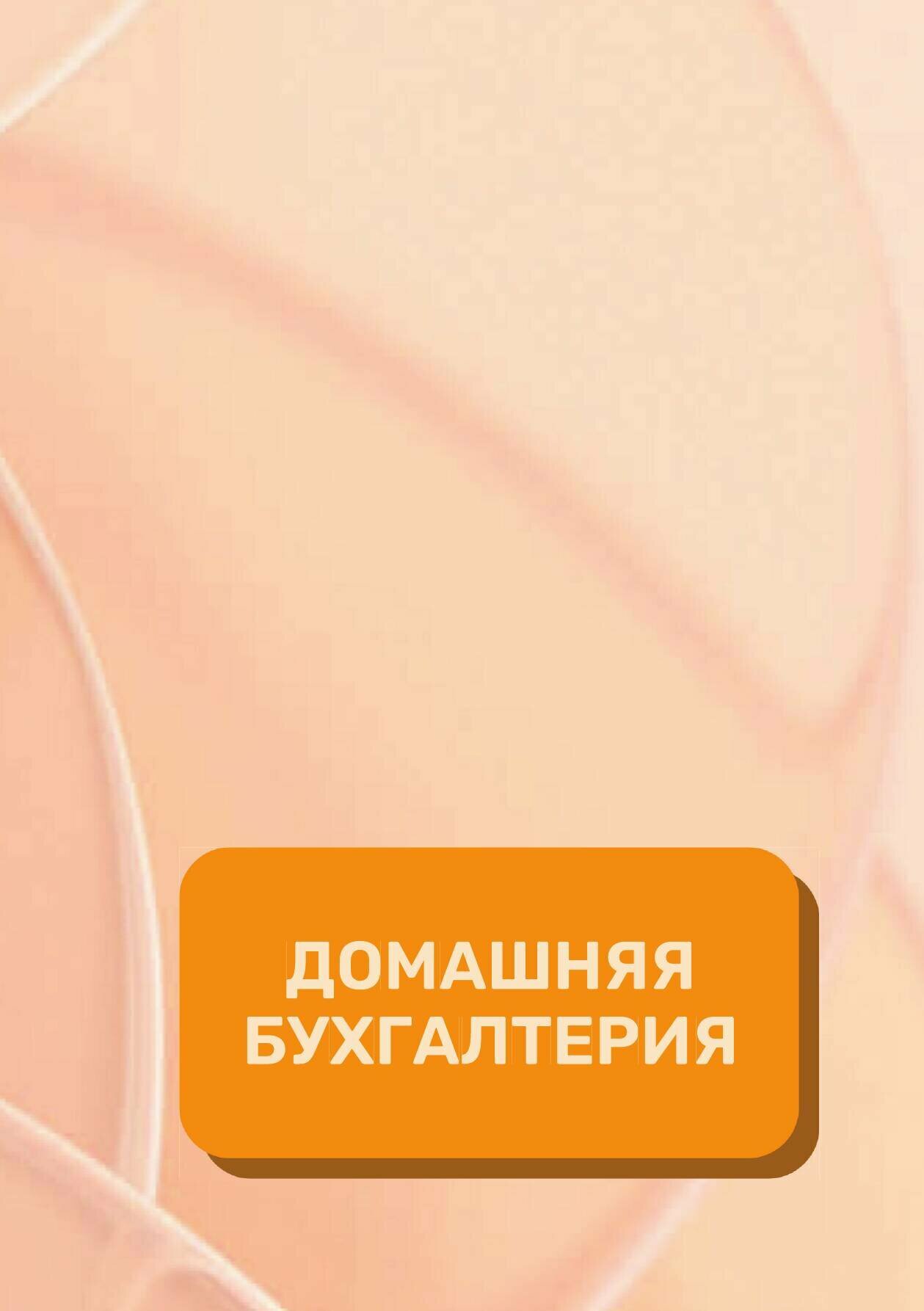 Домашняя бухгалтерия на год