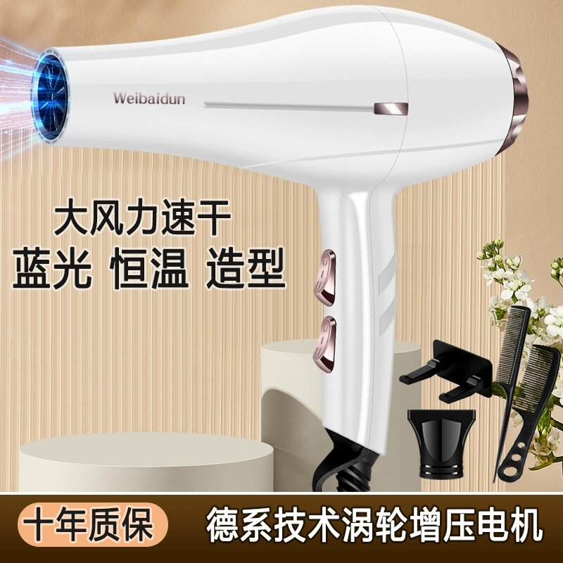 Немецкий мощный фен для дома, парикмахерская, парикмахерская, синий свет, отрицательные ионы, уход за волосами,