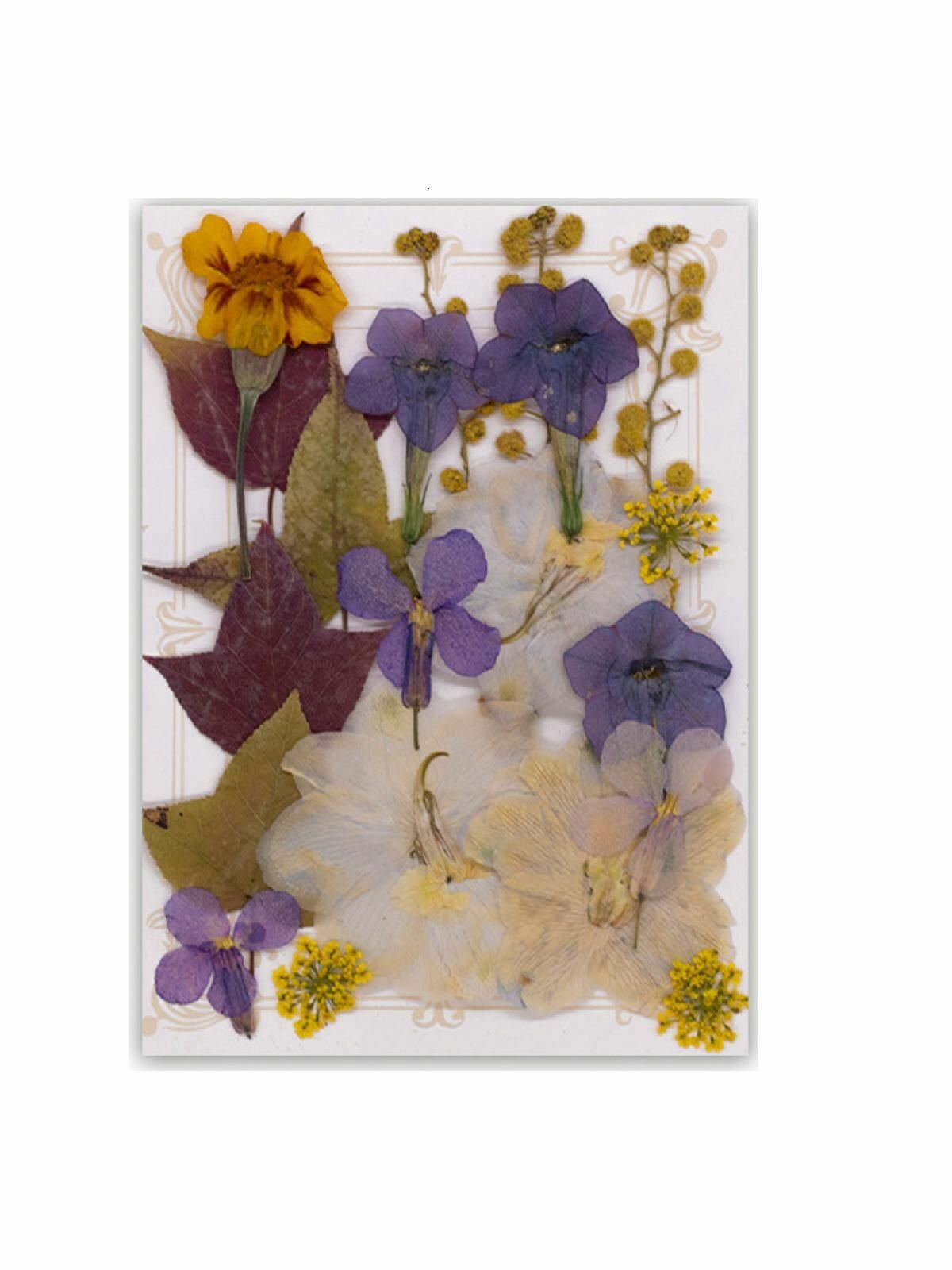 Стабилизированныецветы, Материал Для Гербария Из Настоящих Цветов-Tumi Series E