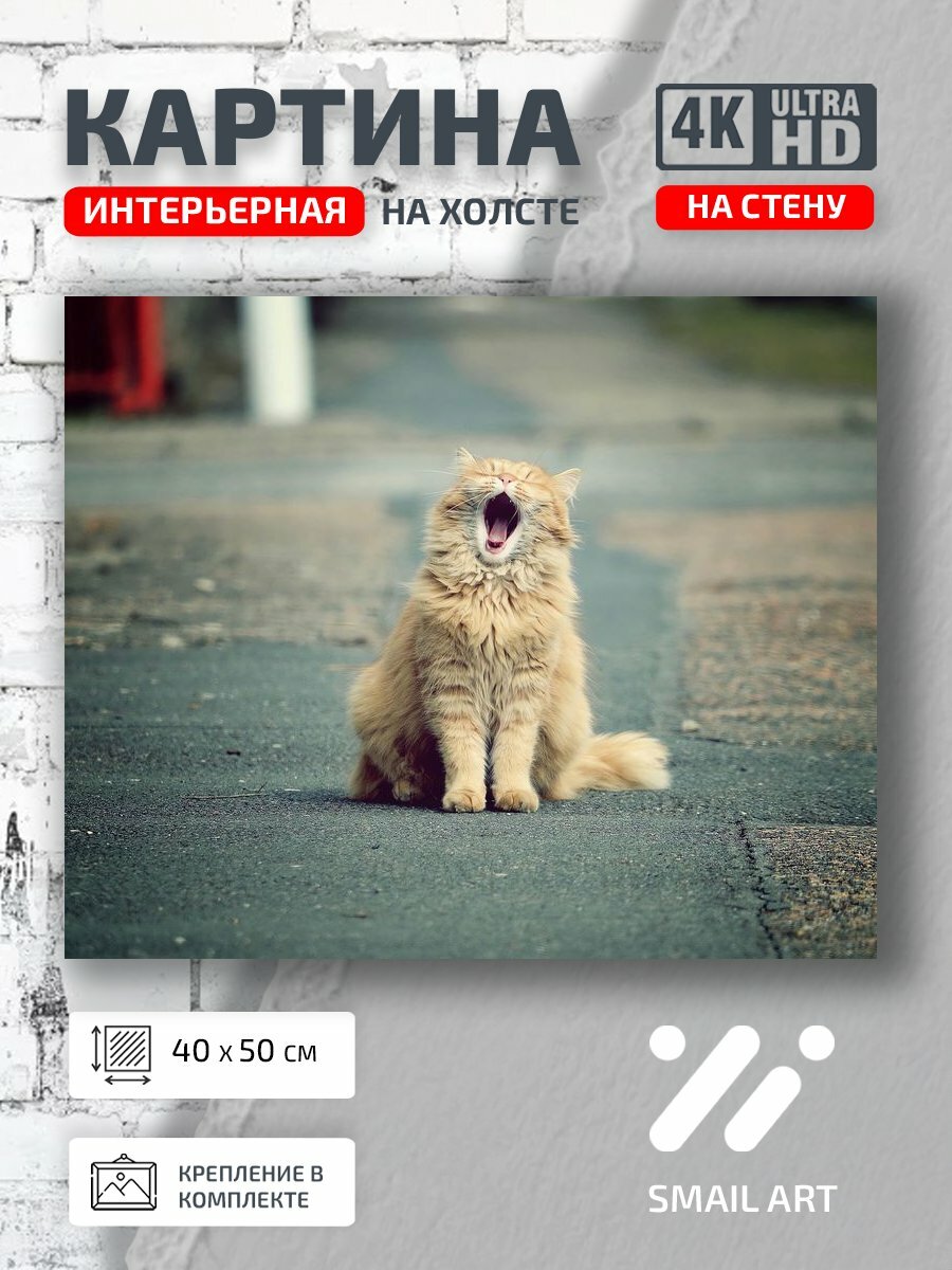 Картина на холсте интерьерная 40 на 50 на стену Кот Animal для кафе animal style интерьер