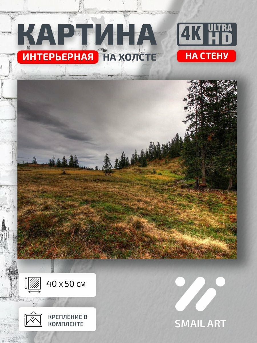 Картина на холсте интерьерная 40 на 50 на стену Дождем Landscape для кафе пейзаж интерьер