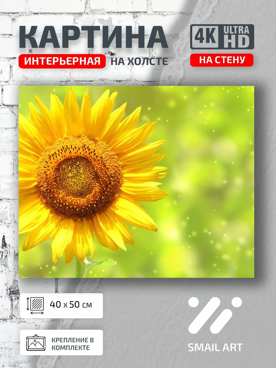 Картина на холсте интерьерная 40 на 50 на стену Фоне Landscape для гостиной пейзаж интерьер