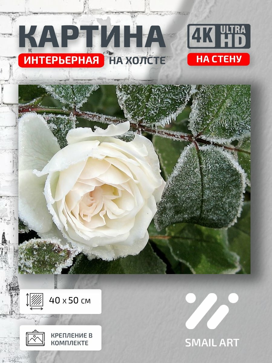 Картина на холсте интерьерная 40 на 50 на стену Зима Landscape для офиса пейзаж интерьер