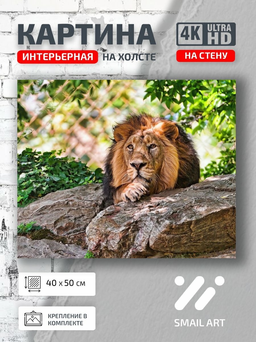 Картина на холсте интерьерная 40 на 50 на стену Камне Animal для гостиной animal style