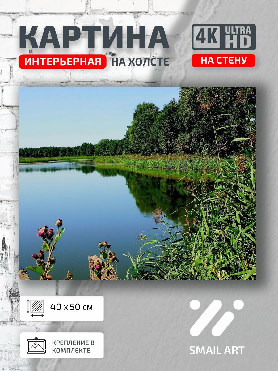 Картина на холсте интерьерная 40 на 50 на стену Лес Landscape для офиса пейзаж интерьер