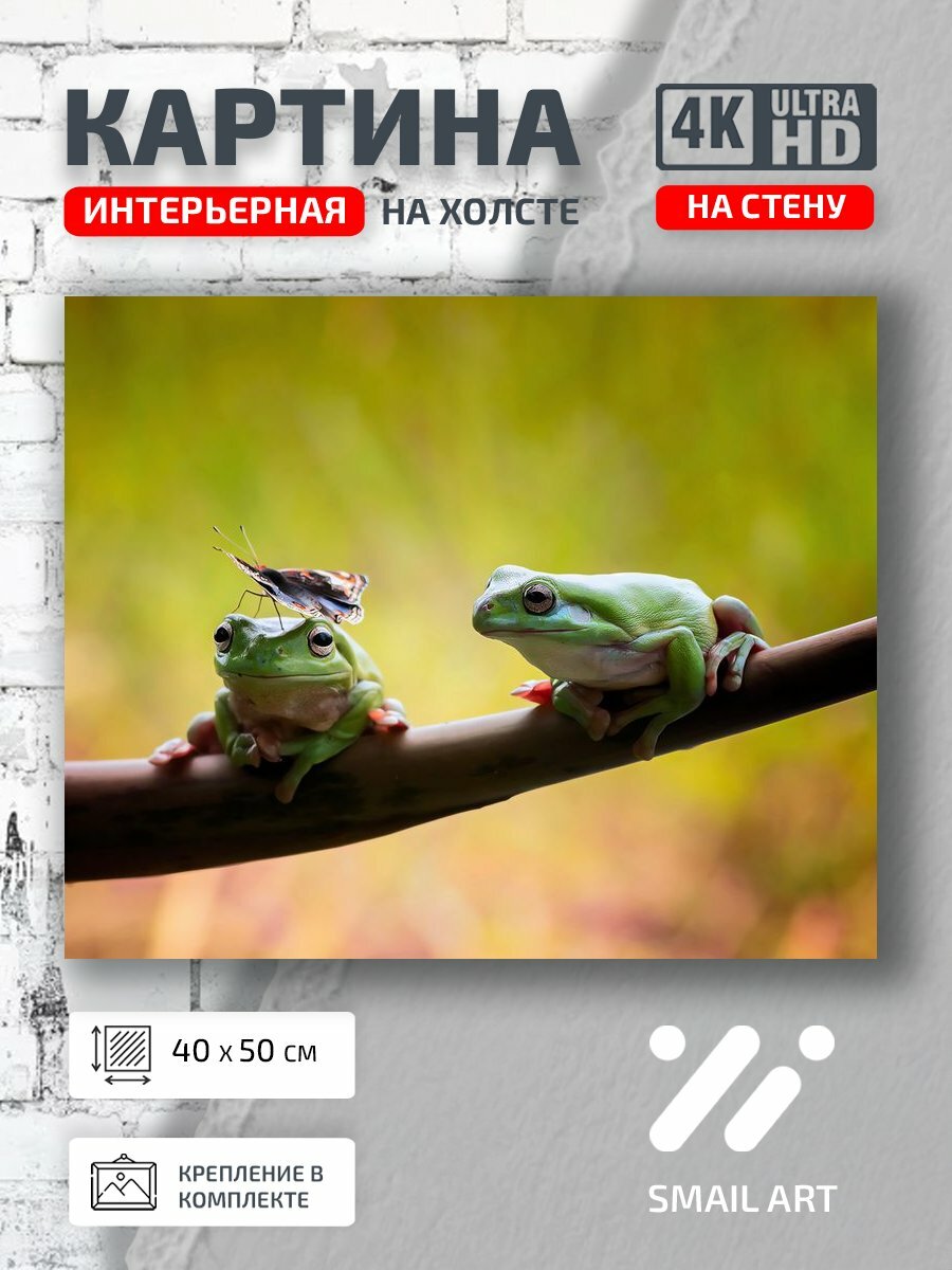 Картина на холсте интерьерная 40 на 50 на стену Лягушки animals для кабинета пейзаж декор