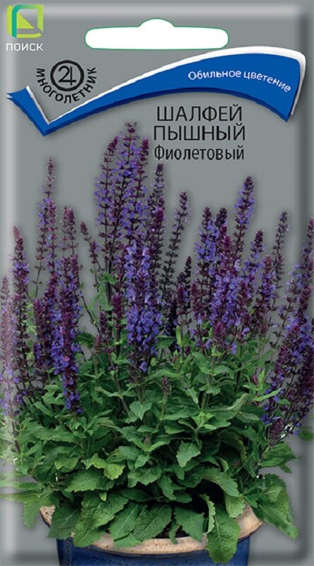 Семена цветов шалфей пышный фиолетовый, для дачи, сада, огорода и на рассаду