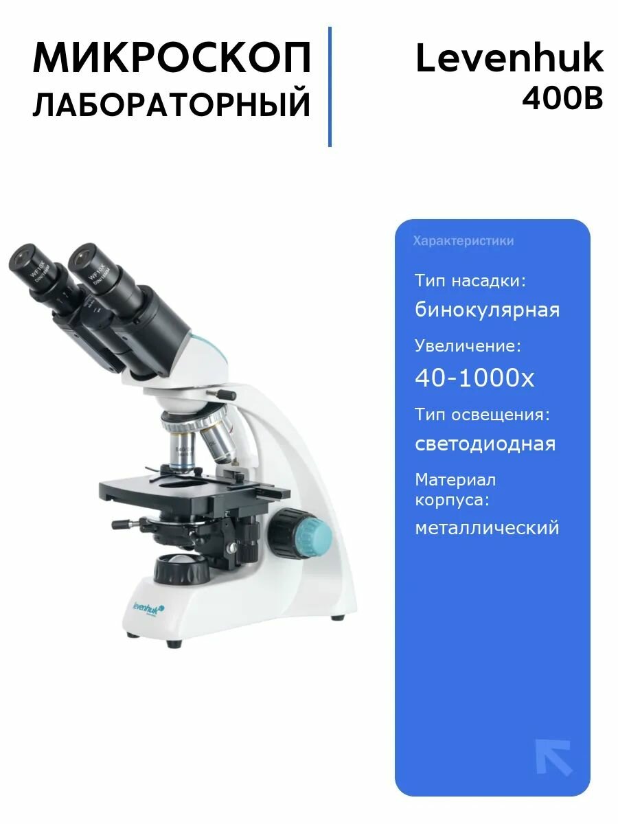 Микроскоп Levenhuk 400B бинокулярный для лабораторий, увеличение 40-1000x, с масляной иммерсией и подсветкой