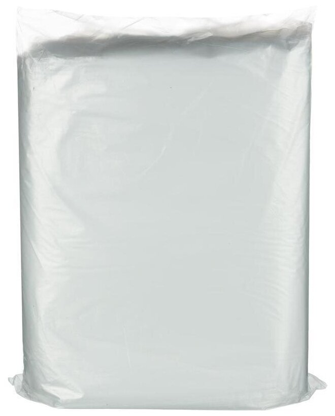 Пакет фасовочный ПВД 40х50 20мкм прозрачный пачка 100 шт/уп