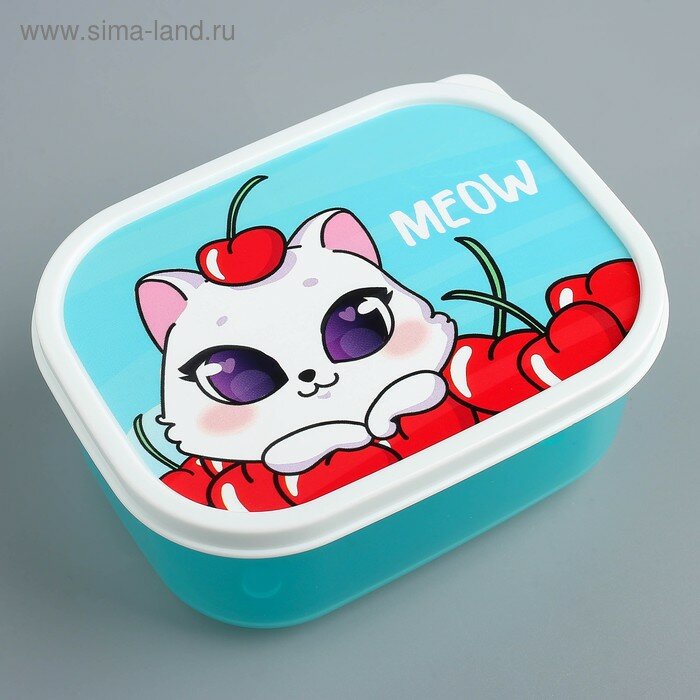 Ланч-бокс прямоугольный Meow, 500 мл, 2 шт.