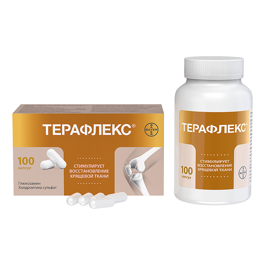 Терафлекс капсулы 500 мг+400 мг 100 шт