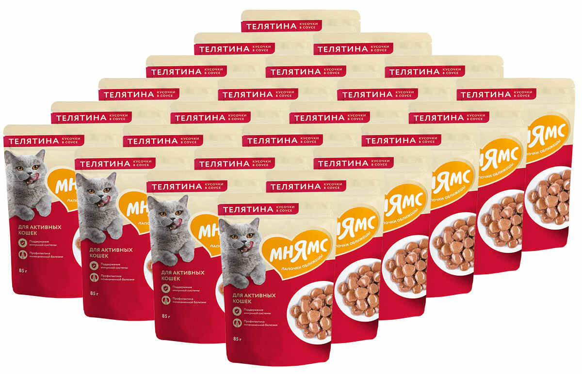 Мнямс для взрослых активных кошек с телятиной в соусе пауч 85 гр х 24 шт