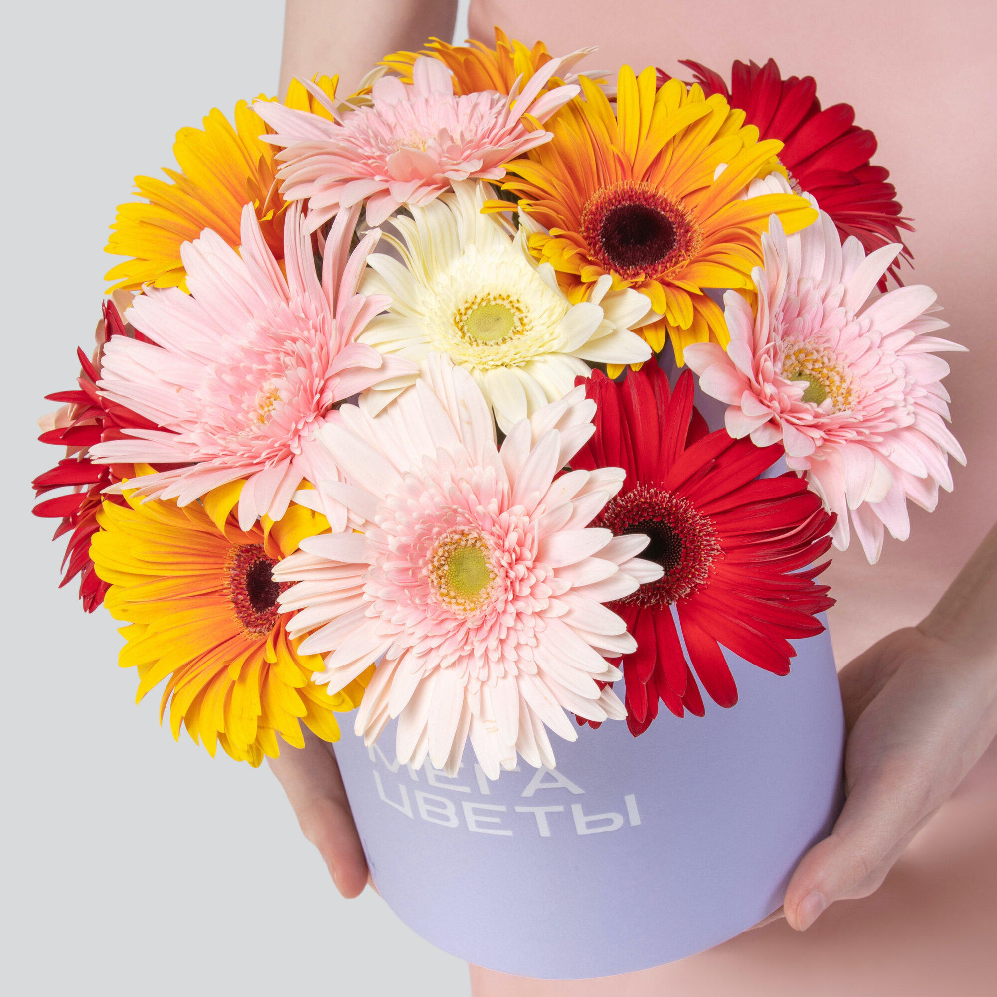 Букет Мегацвет24 "Гербера Микс", 15 цветов, в шляпной коробке