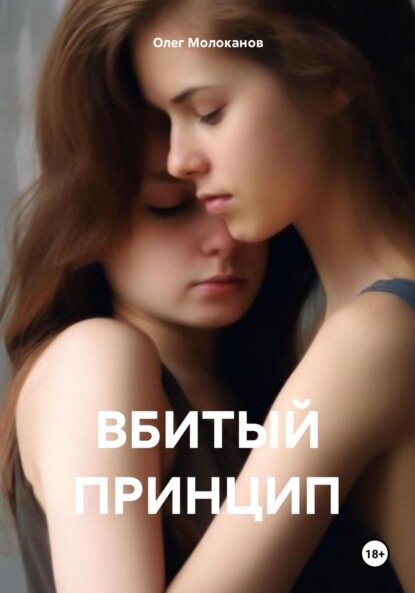 Вбитый принцип [Цифровая книга]