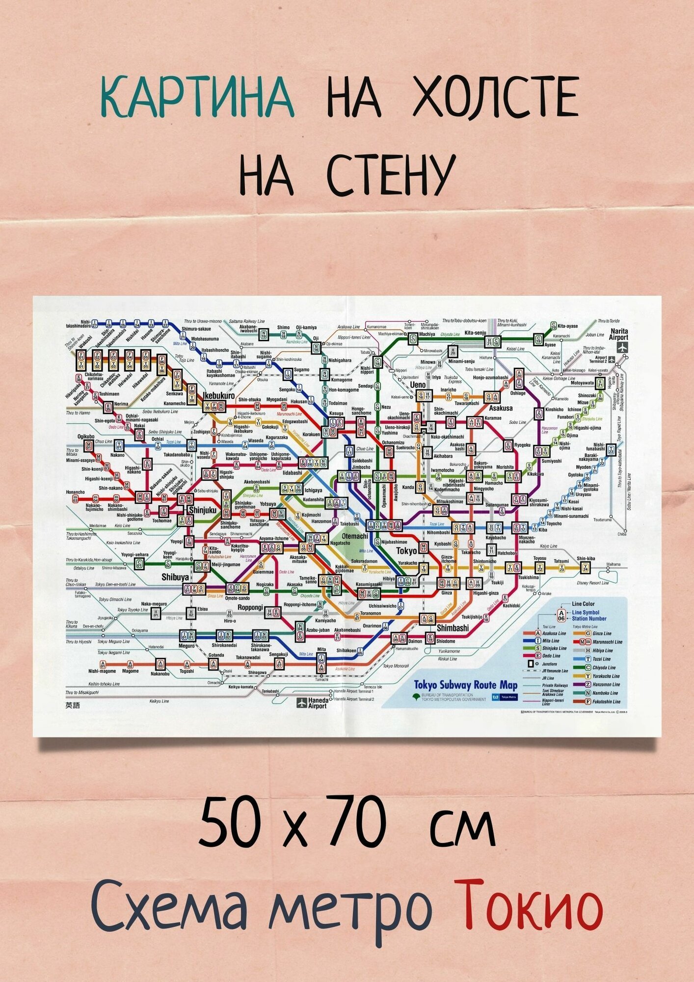 Картина на холсте интерьерная "Схема метро Токио в Японии"