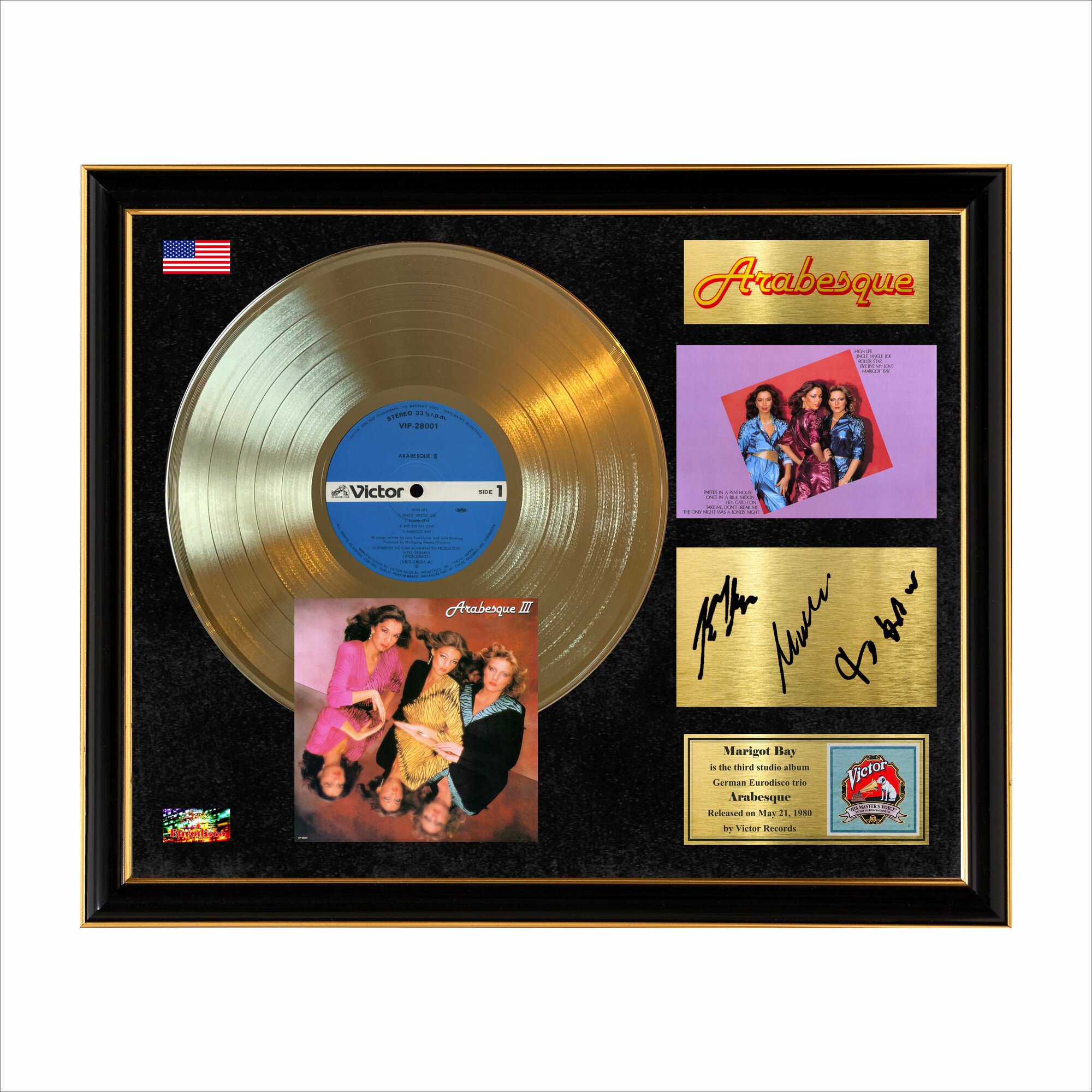 Картина в рамке с пластинкой Arabesque