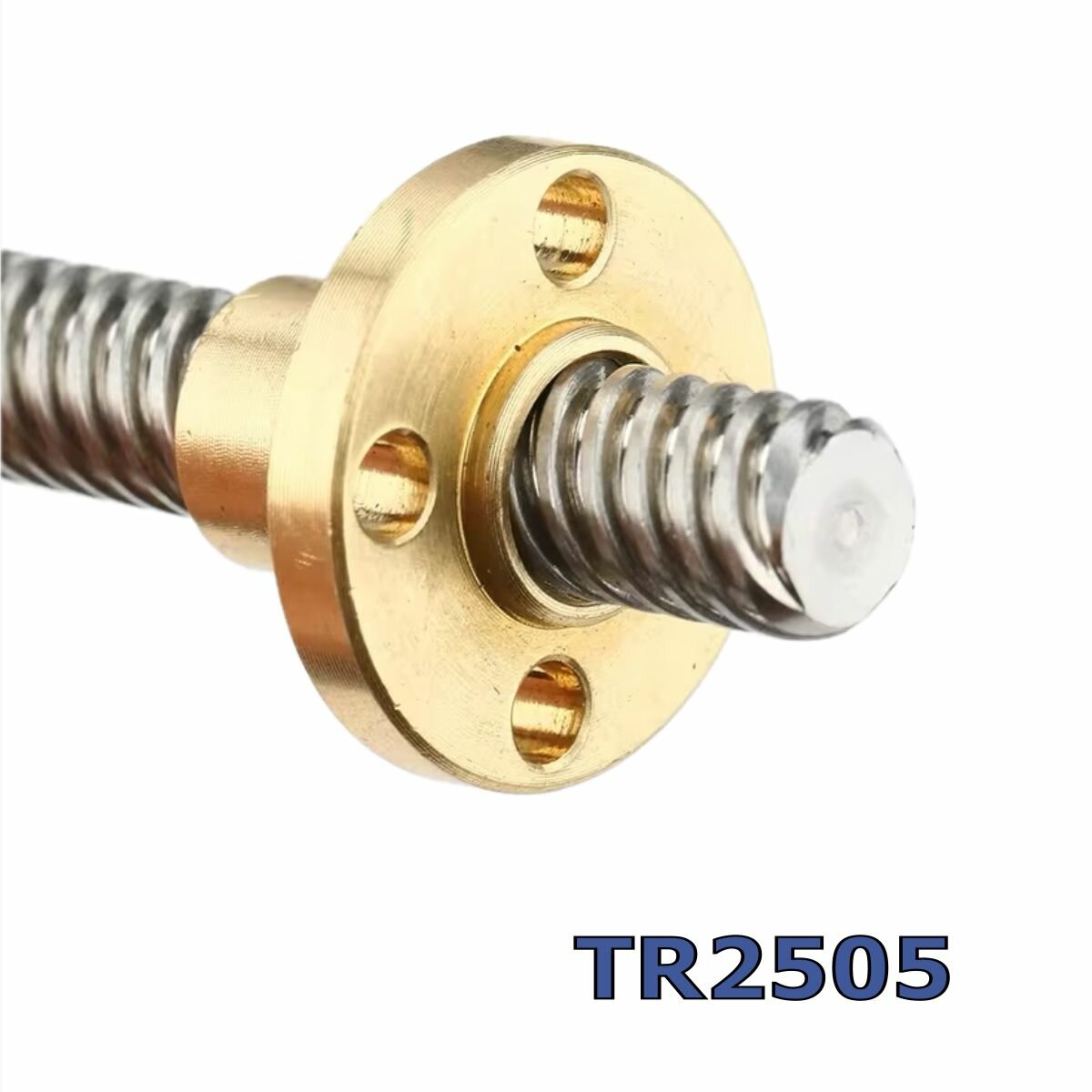 Гайка трапеции TR2505