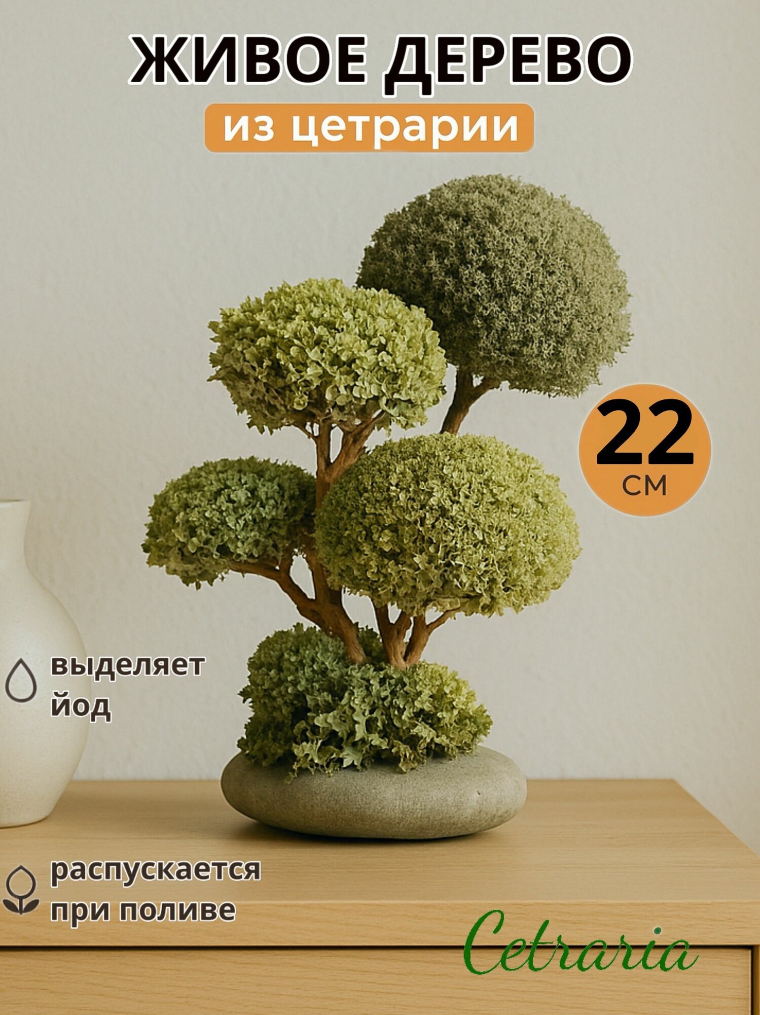 Сувенирное дерево из цетрарии. Живой сухоцвет