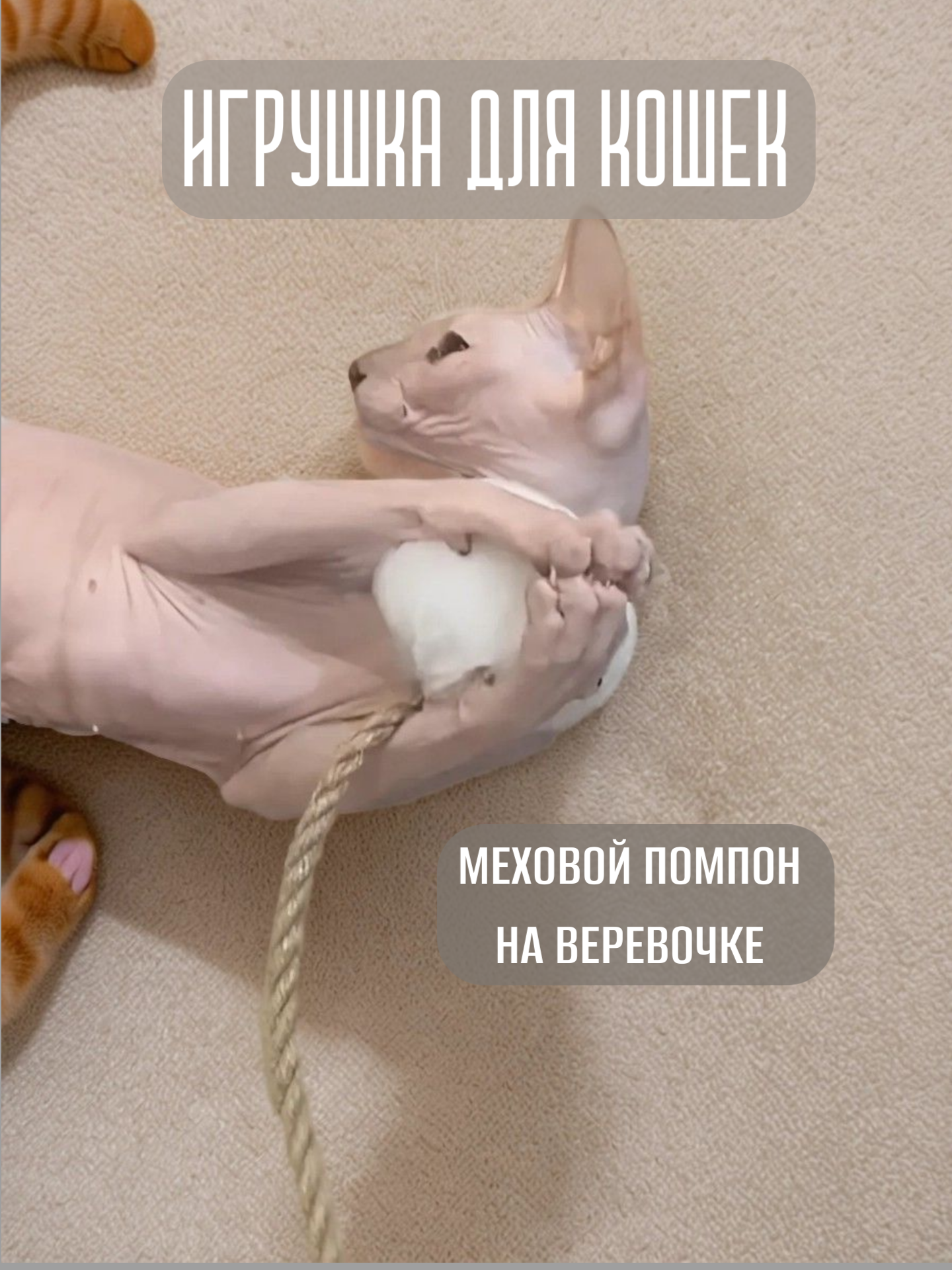 Игрушка для кошек, помпон на джутовой веревочке с кольцом для фиксации