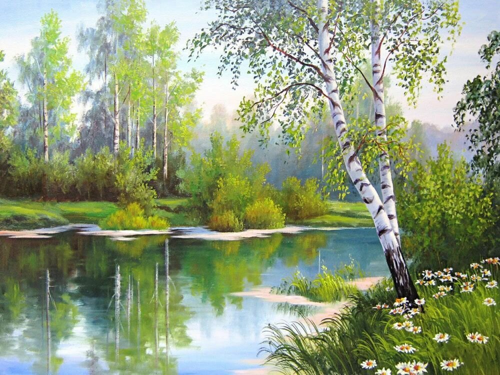 Картина по номерам на холсте с подрамником 40х50 Берёзы у реки. Природа. Пейзаж. Цветы. Ромашки.