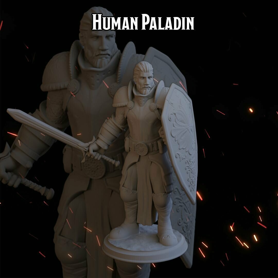Паладин 51,2мм человек мужчина фигурки/миниатюры (ДнД, DnD, D&D, Dungeons & Dragons, Pathfinder, Подземелья и Драконы, Wargames)