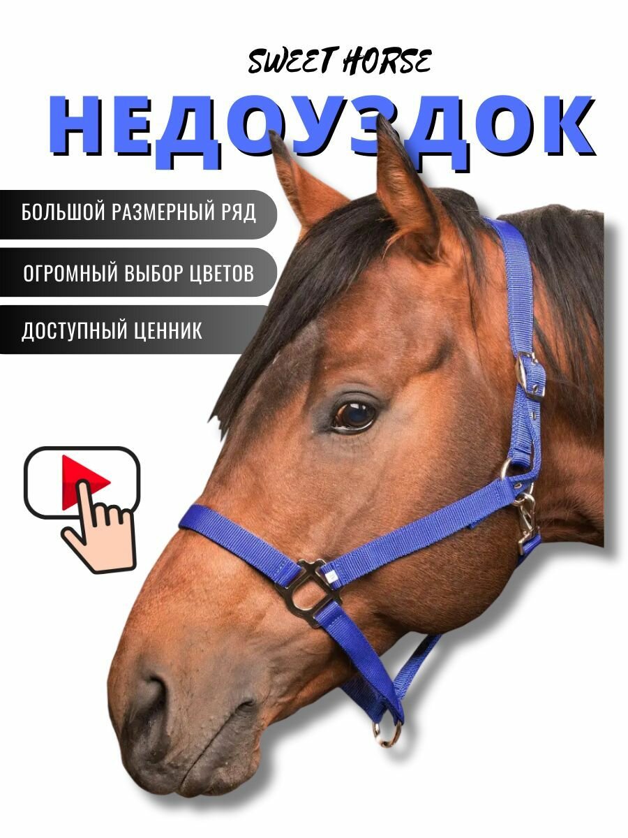Сколько стоит уздечка для лошади — купить по низкой цене на Яндекс Маркете