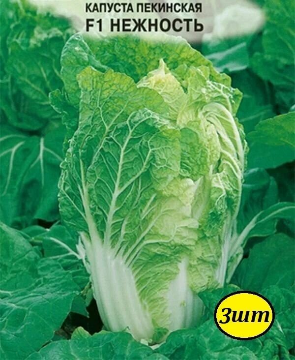 Семена Капуста пекинская Нежность 0.5г 3 пакета
