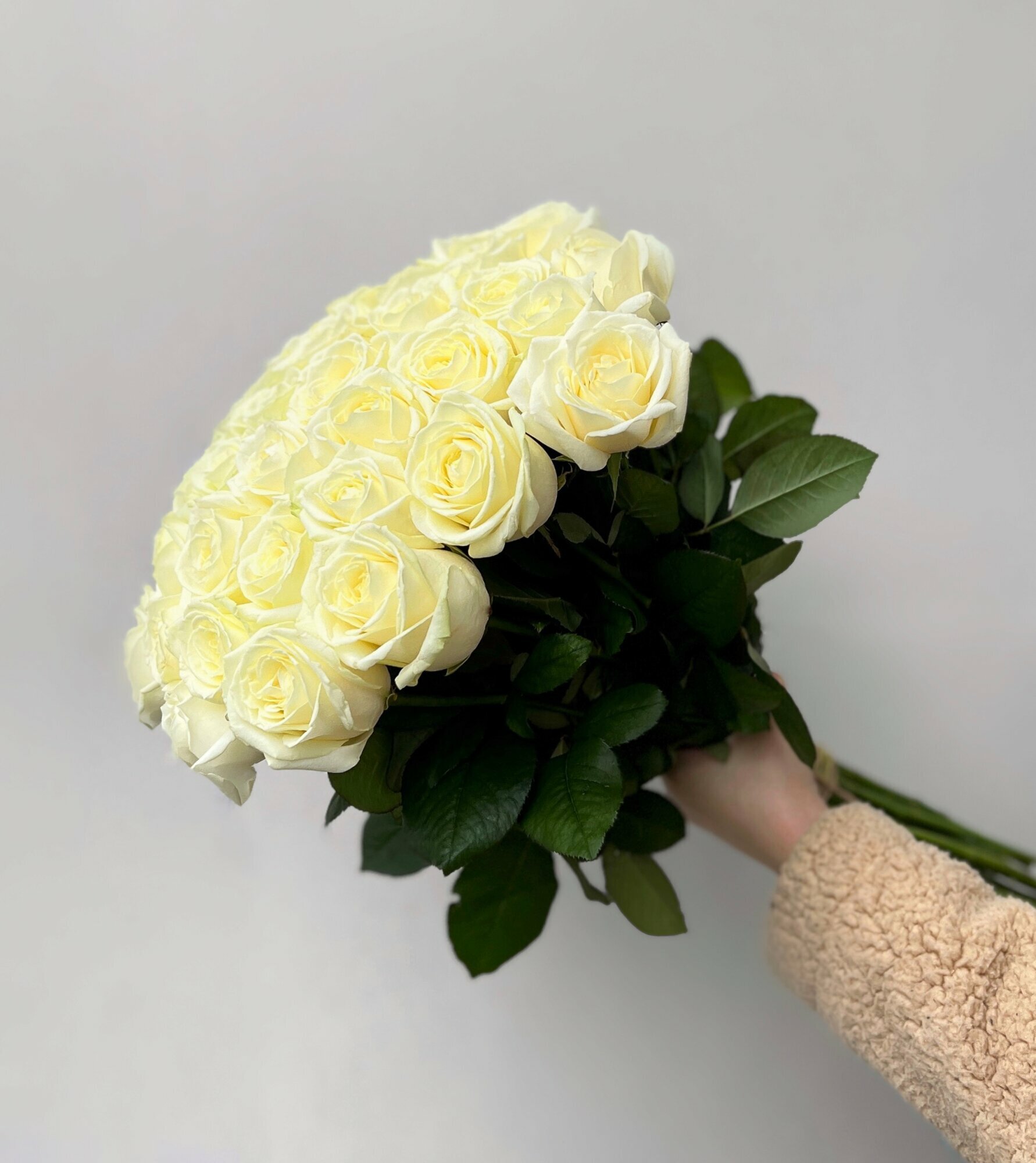 Букет из белых роз 43 шт, букет роз 60 см, красивый букет цветов, букет живых цветов, Россия