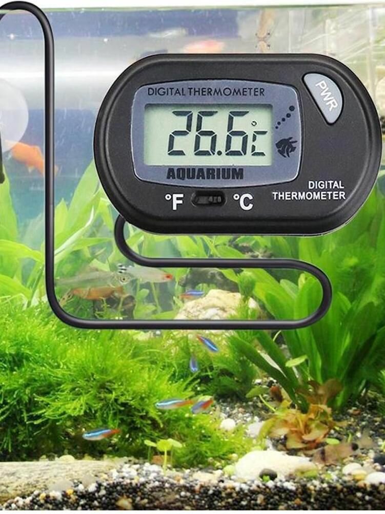 Водонепроницаемый аквариумный термометр с датчиком необходим для подводного содержания домашних животных