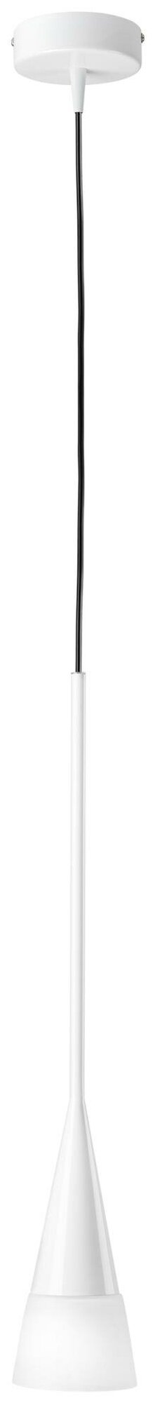 Подвес Conicita Lightstar 804110