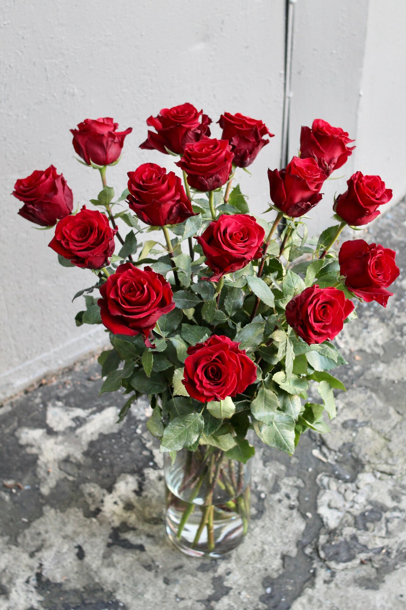 15 красных роз сорта Эксплорер в вазе (80 см)