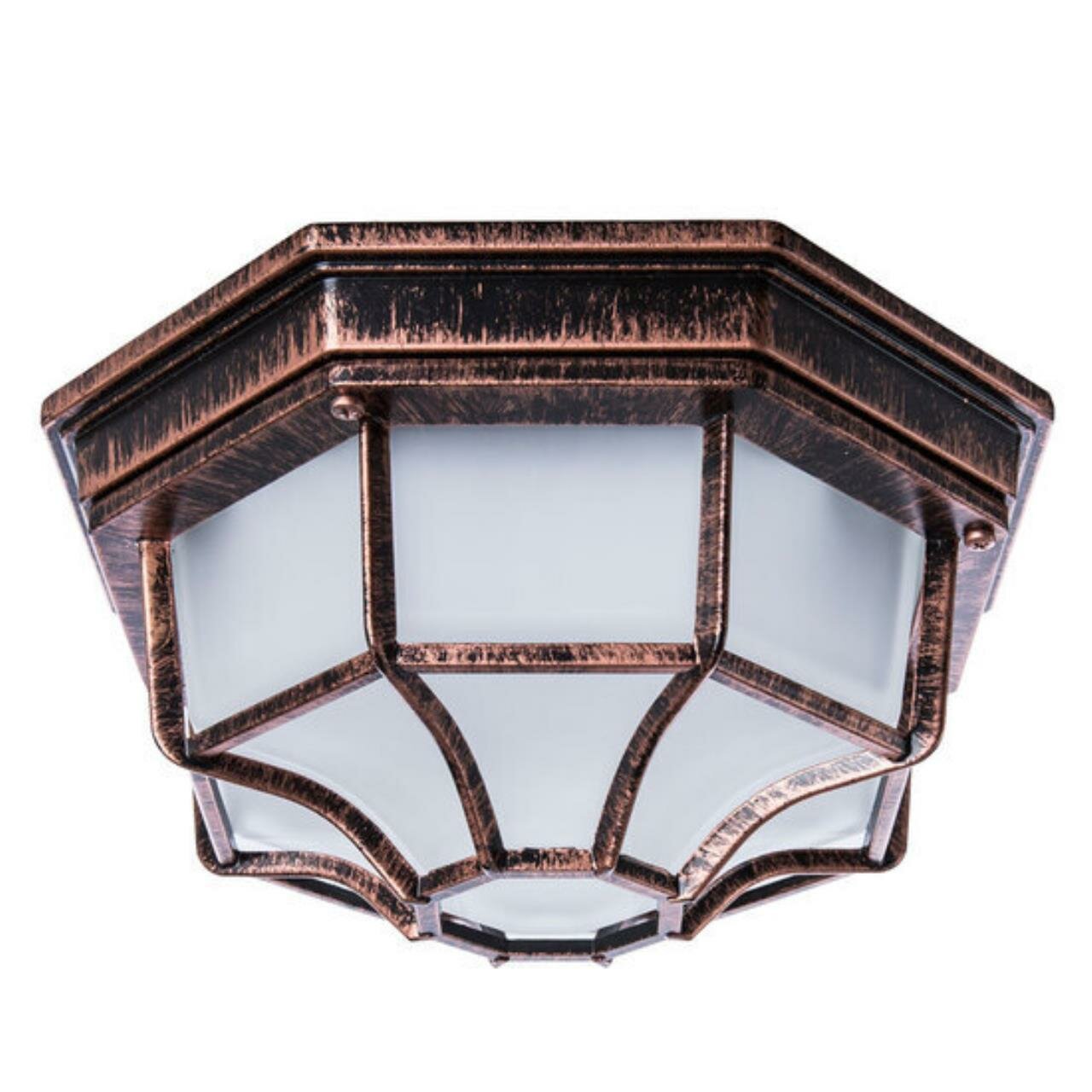 Уличный потолочный светильник IP44 Arte Lamp PEGASUS A3100PL-1AC