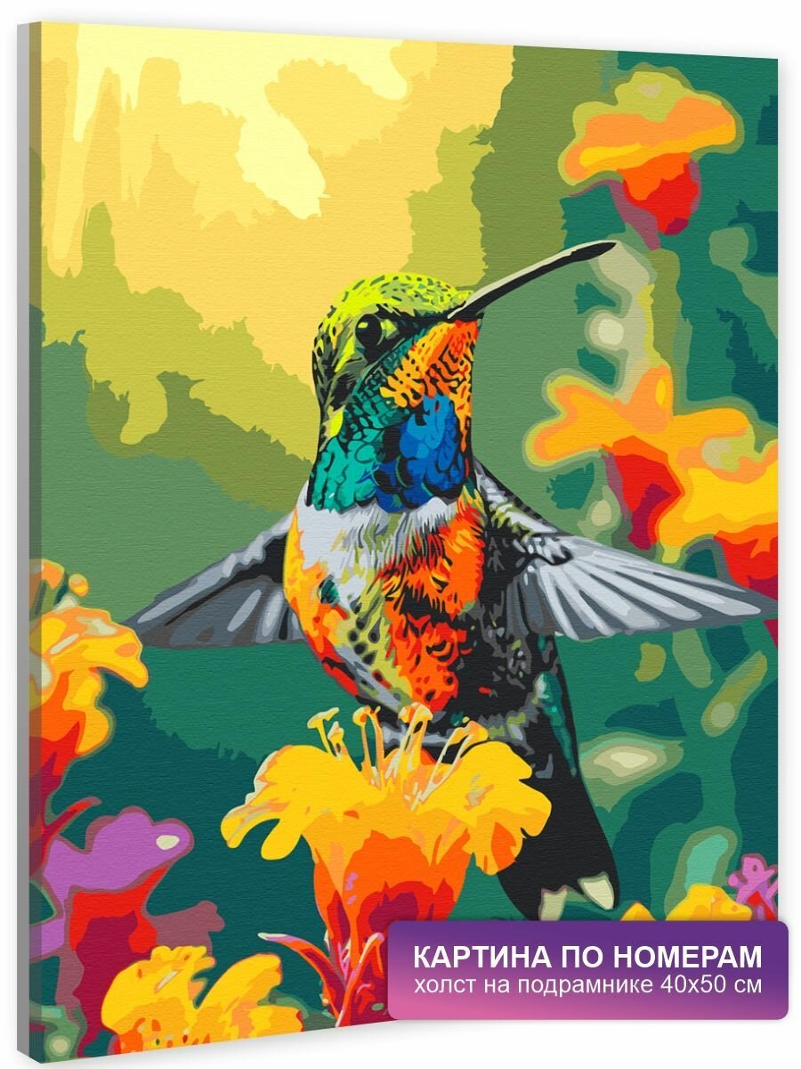 Картина по номерам на холсте с подрамником 40х50 см. Природа, животные, рыбы, птицы. "Колибри", арт. 5140/