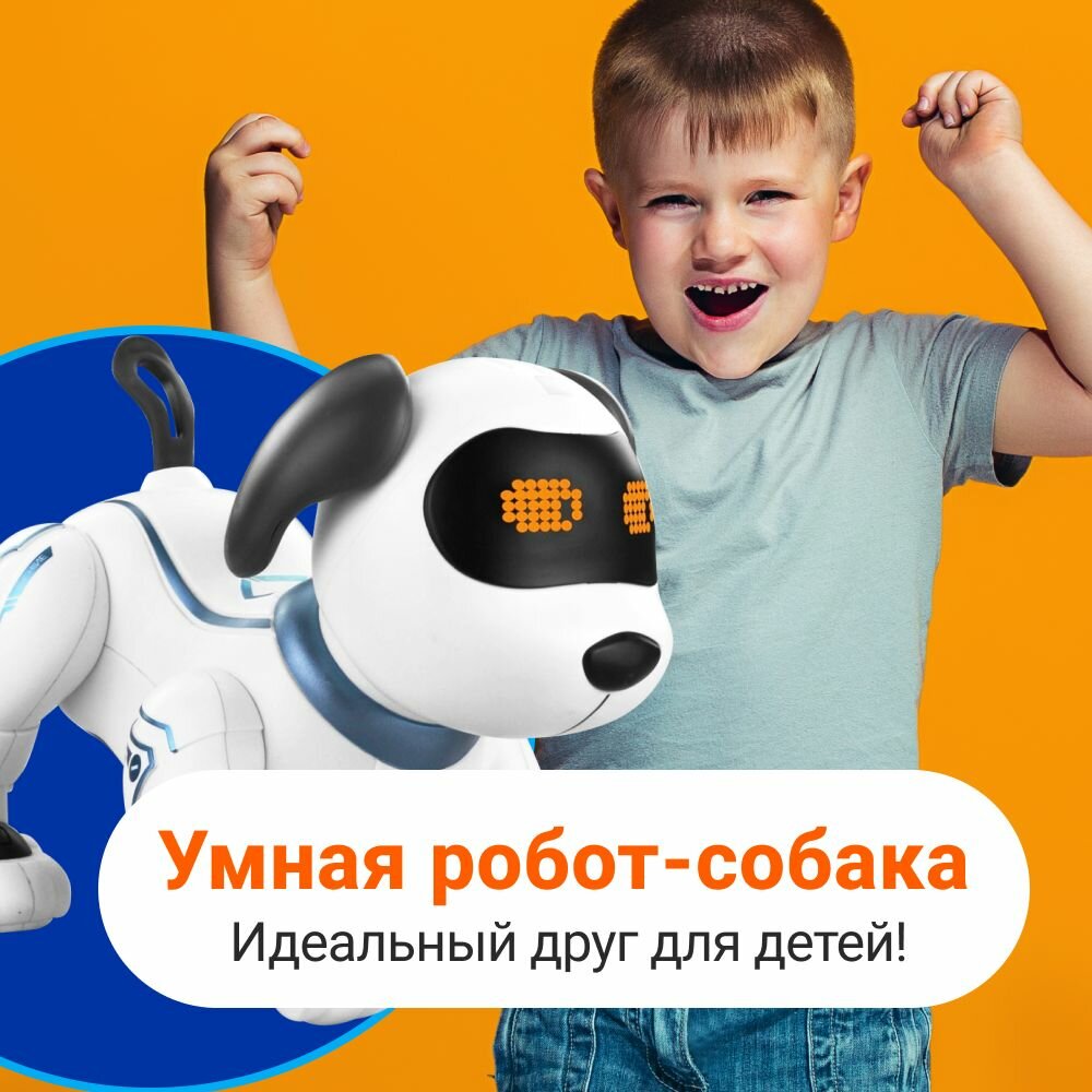 Робот радиоуправляемый