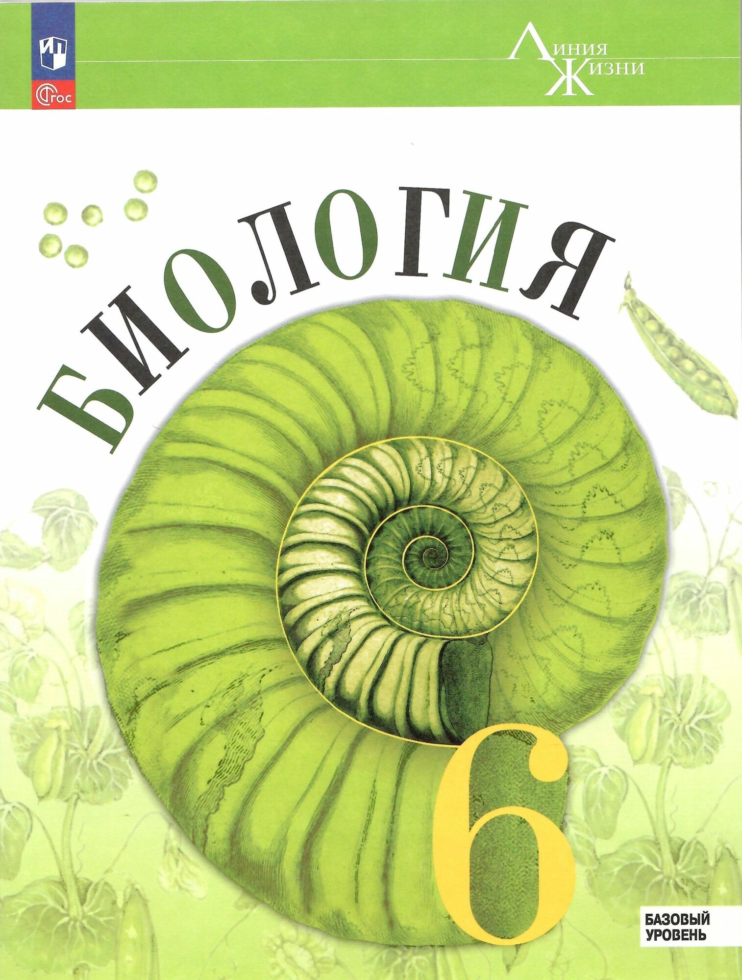Биология. 6 класс. Учебник. Базовый уровень. Пасечник В. В. Новый ФГОС