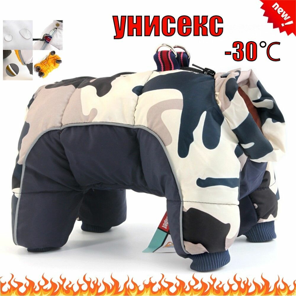 Одежда для животных