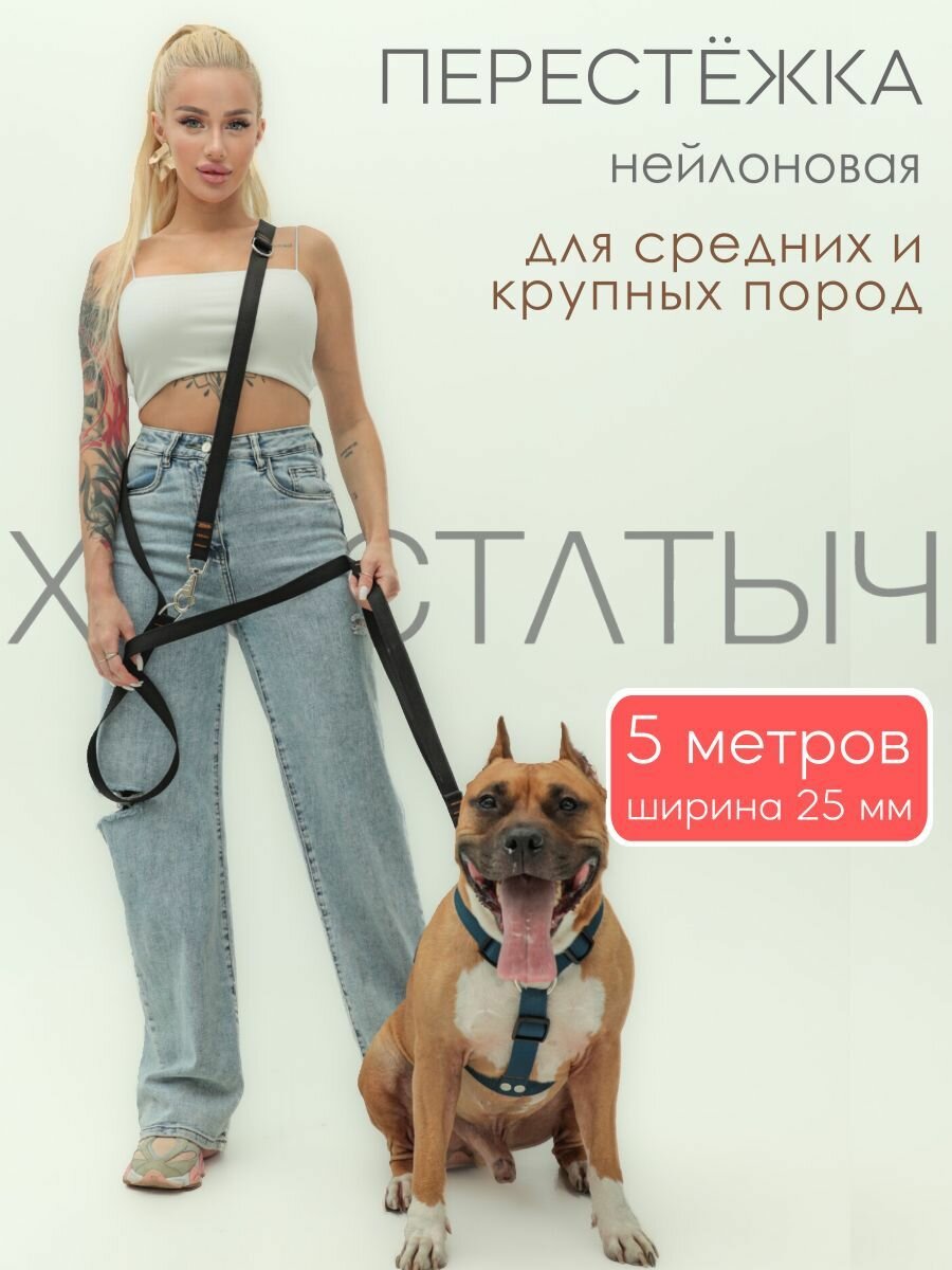 Перестежка Хвостатыч для собак PRO прошитая нейлон 5 м х 25 мм (черный)