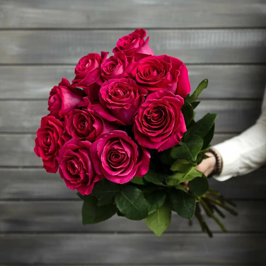 11 малиновых роз Эквадор 50 см
