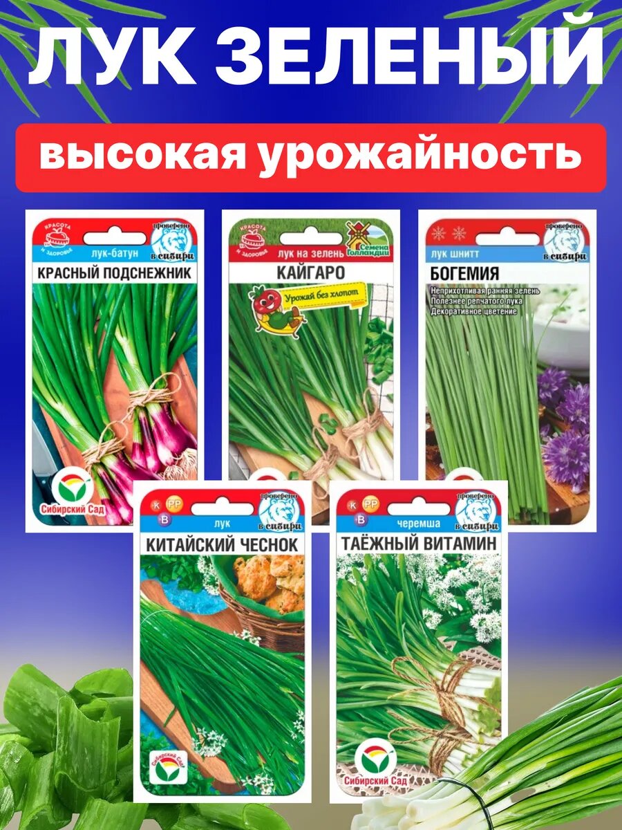 Лук семена набор на зелень 5 штук