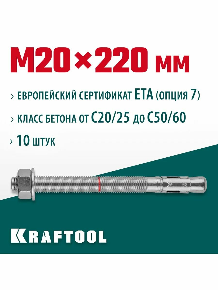Клиновой анкер, М20x220, 10 шт. 302184-20-220