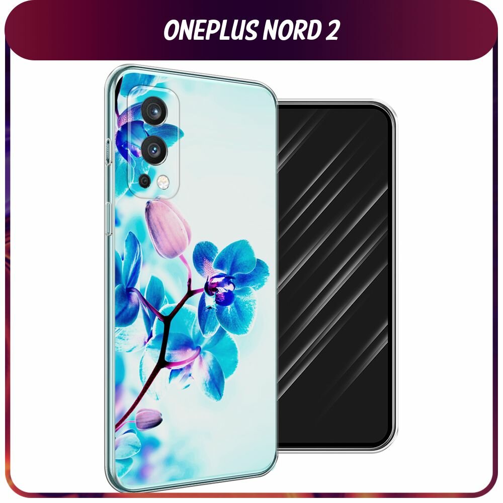 Чехол на OnePlus Nord 2 / ВанПлас Норд 2 с принтом "Голубая орхидея"
